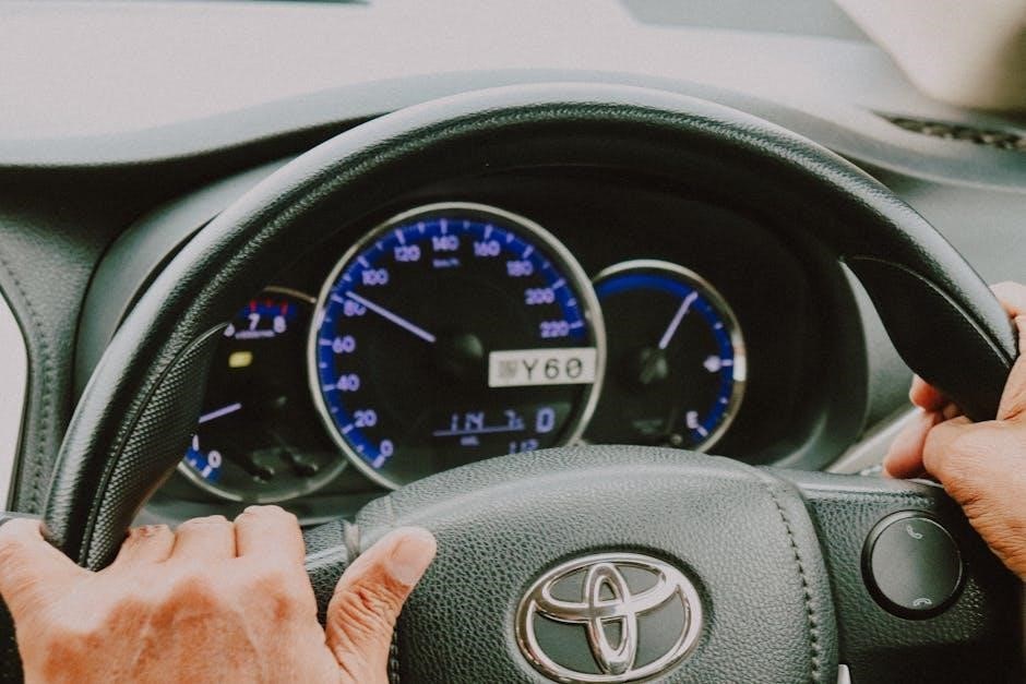 Mastering Manual Wheelchair Driving